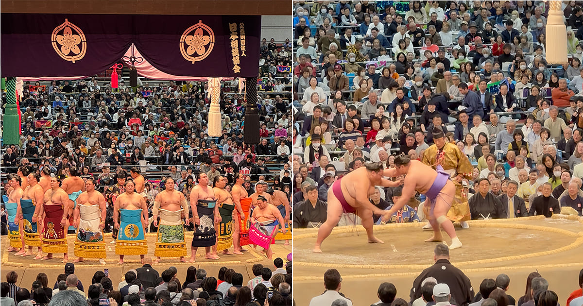 Sumo & sakura • PhilSTAR Life