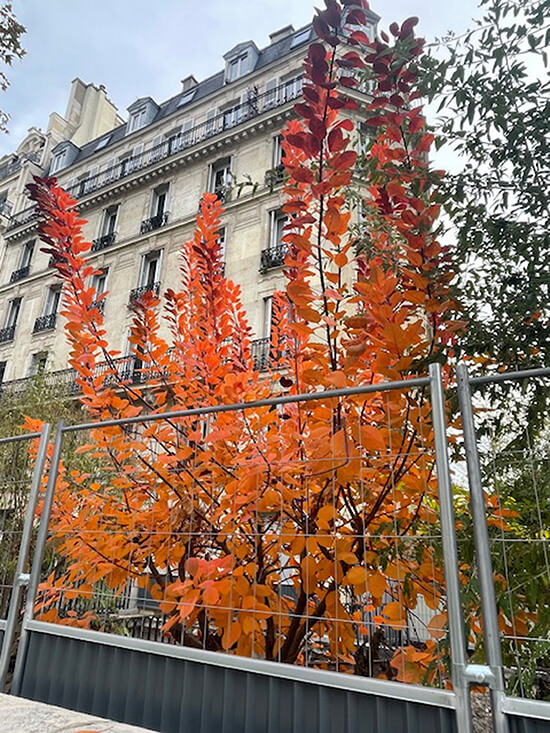 The hidden and not-so-hidden gems of Paris • PhilSTAR Life