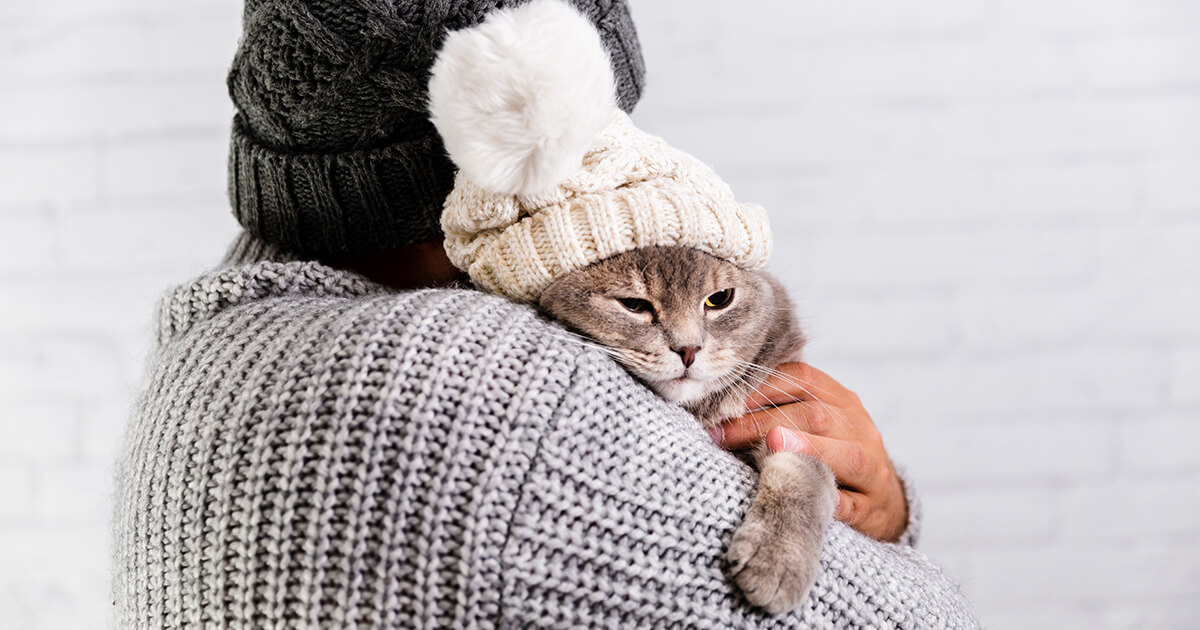 Furry tales from cat lovers • PhilSTAR Life