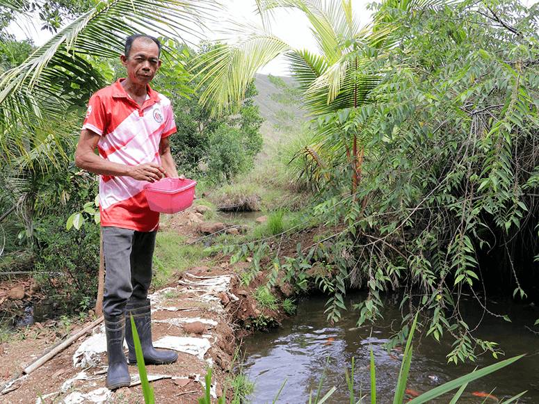Farmer-turned-fishpond owner empowered by LANDBANK, DA • PhilSTAR Life