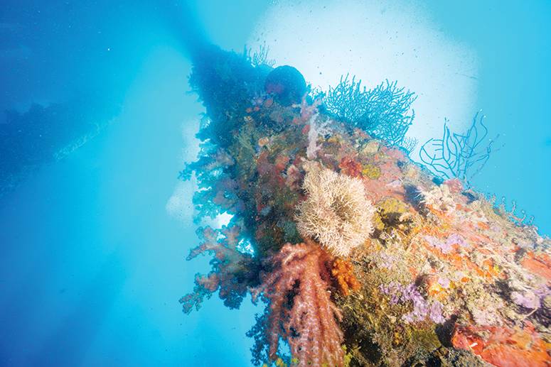 From land to sea, AboitizPower walks the talk • PhilSTAR Life