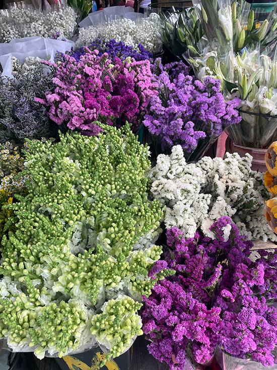 Tips & back stories on Dangwa, Manila’s flower district • PhilSTAR Life