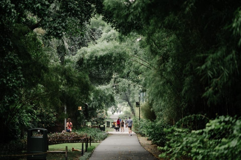 Here are the best places to run outdoors and even indoors, according to ...