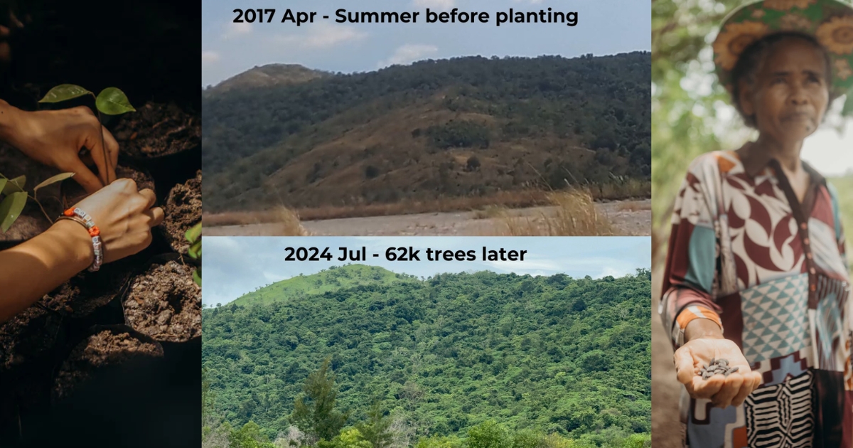 LOOK: Aeta communities in Zambales restore ancestral land through ...