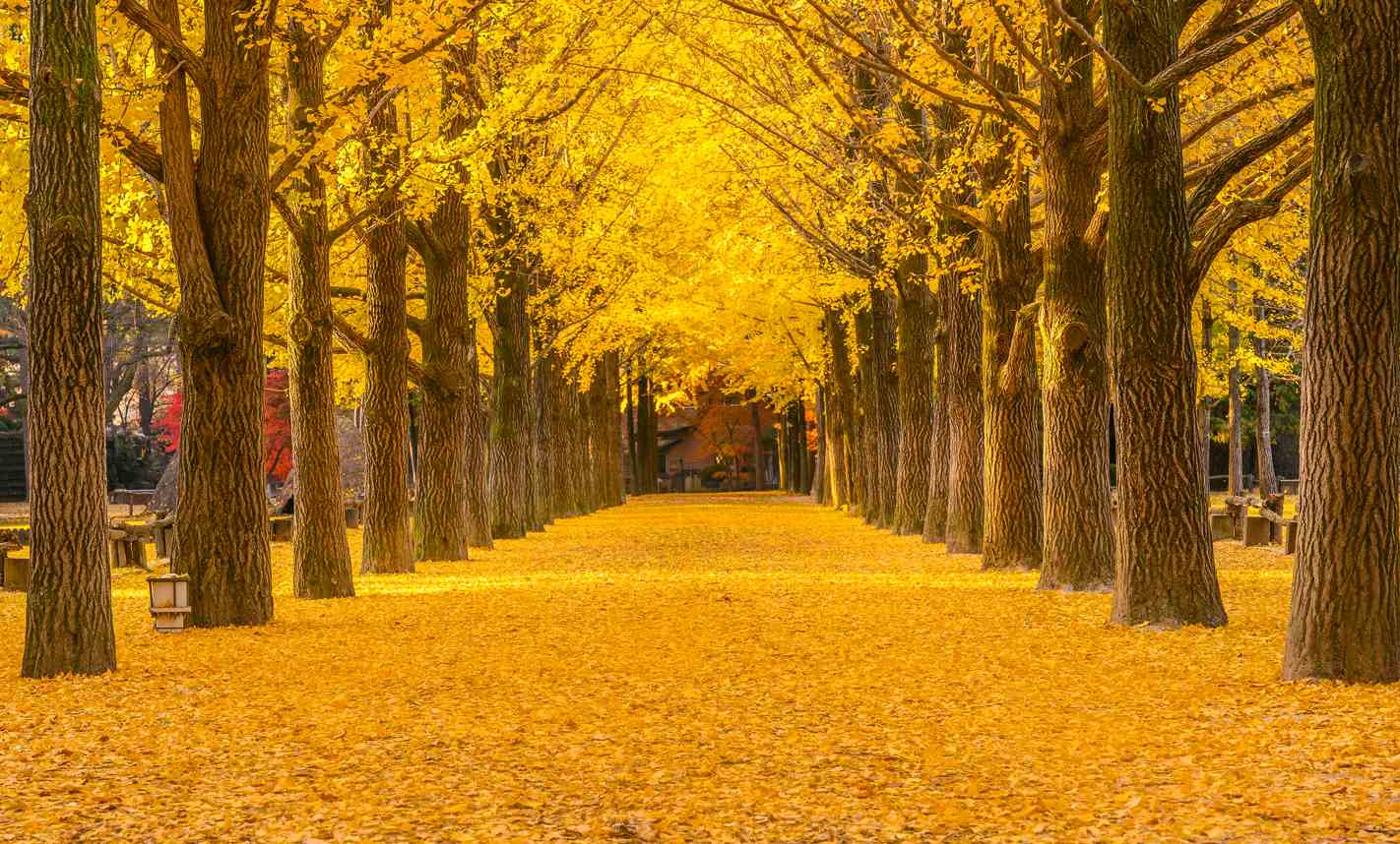 LIST: 5 international destinations to visit to experience the beauty of ...