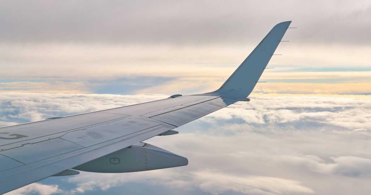 Passenger opens emergency exit of airplane, climbs onto its wing ...