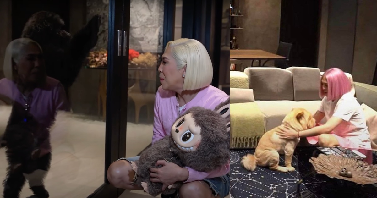 Angel Locsin gifts Vice Ganda a new dog after previous one died ...
